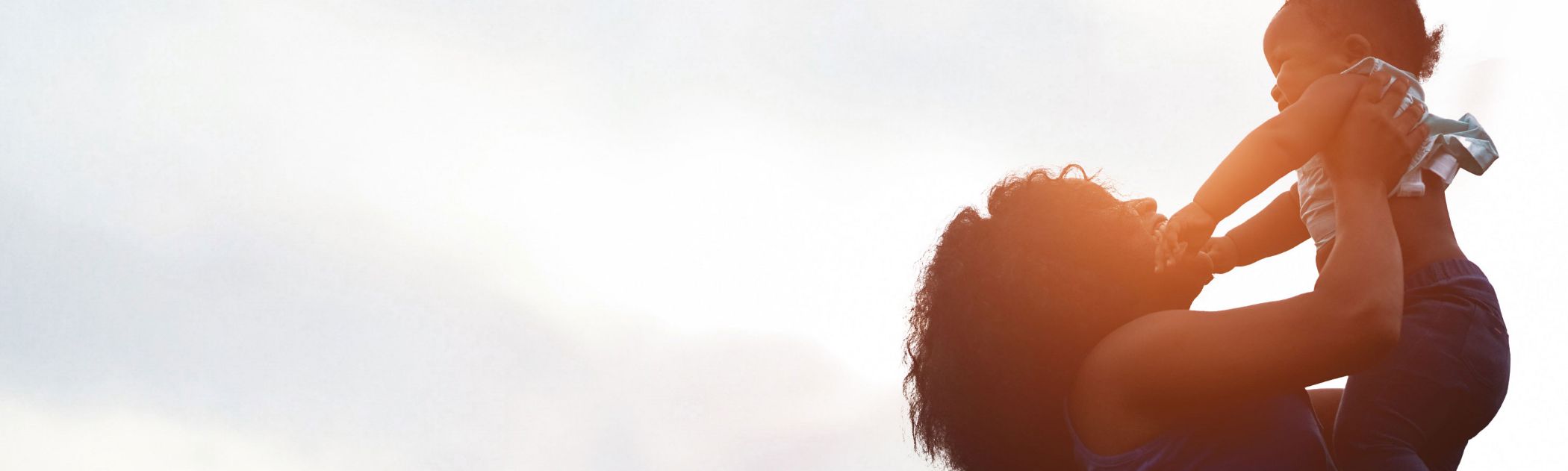 LABO transverse axis - UMR Merit 261