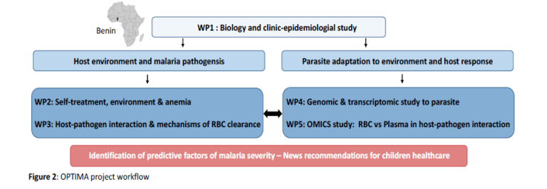 Accueil - UMR Merit 261